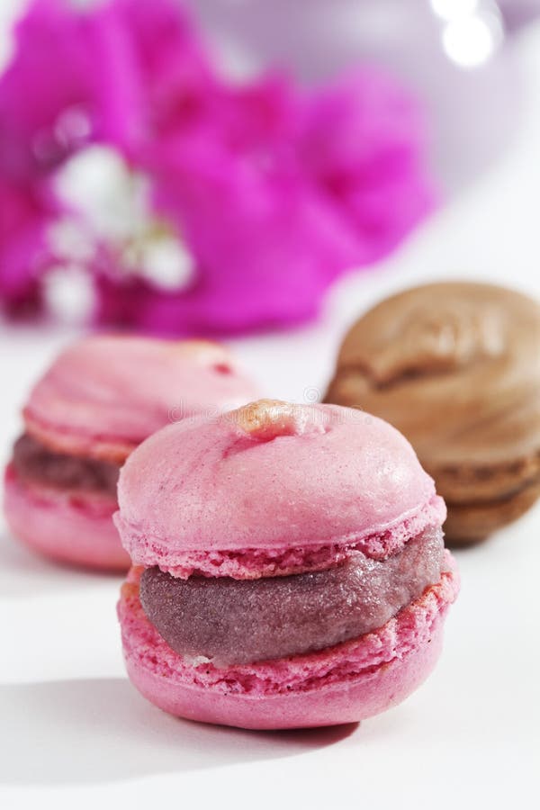 Pink and Chocolate Macaroons Stock Photo - Image of macarons, drink ...
