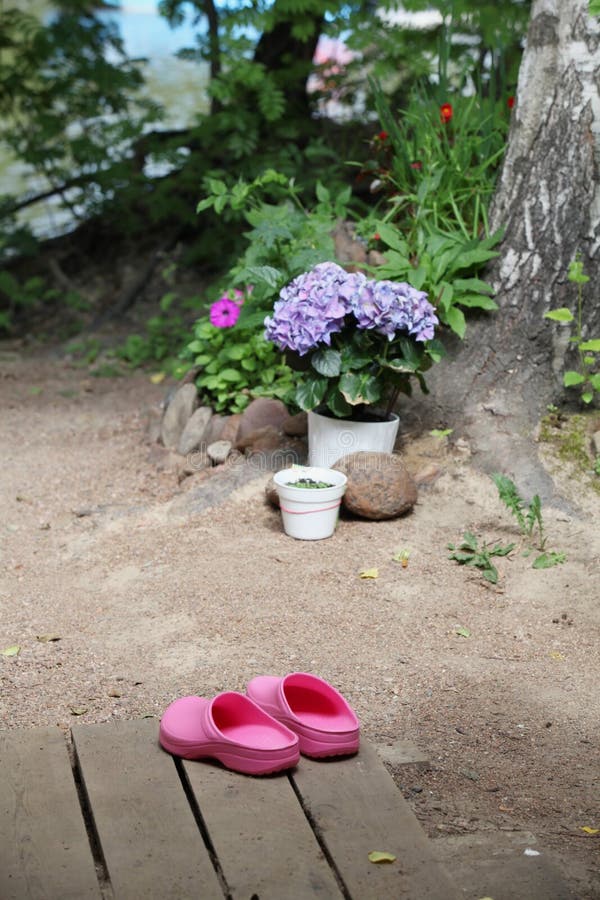 Pink clogs stock image. Image of flop, garden, flip, gardening - 67099473