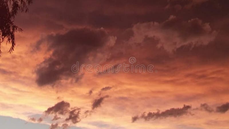Pink Clouds in the Sky after the Rain Stock Image - Image of cloud ...