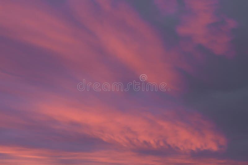 Pink clouds in the sky stock image. Image of shine, clouds - 299016761