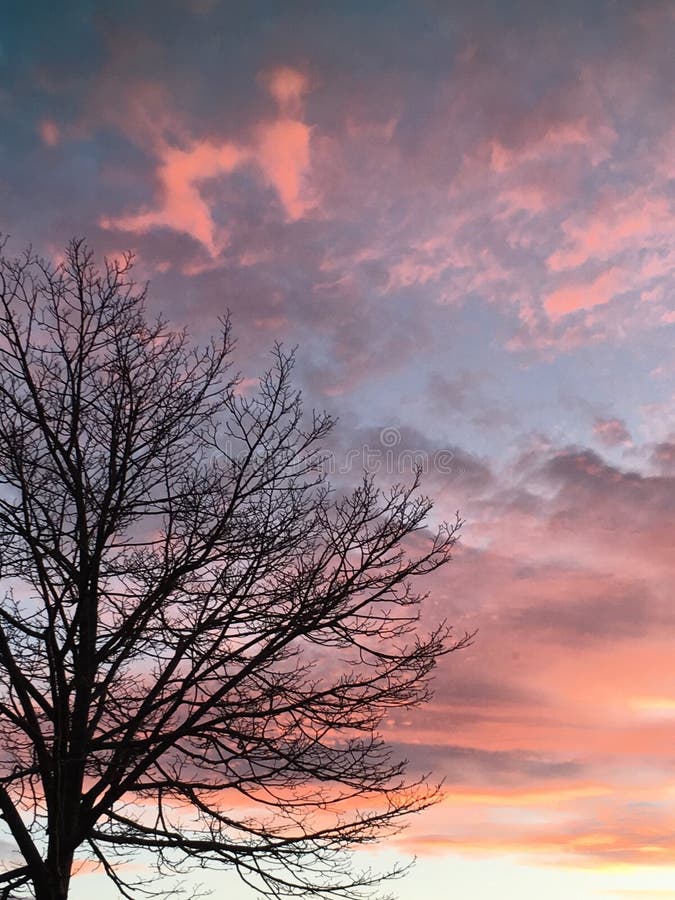 Pink Clouds stock image. Image of pastels, twilight - 116057279
