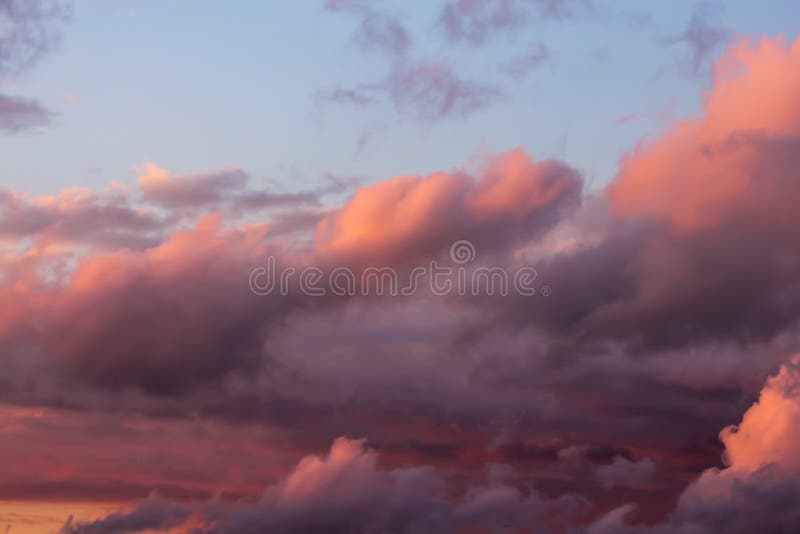 Pink clouds at sunset stock image. Image of color, wind - 189256771