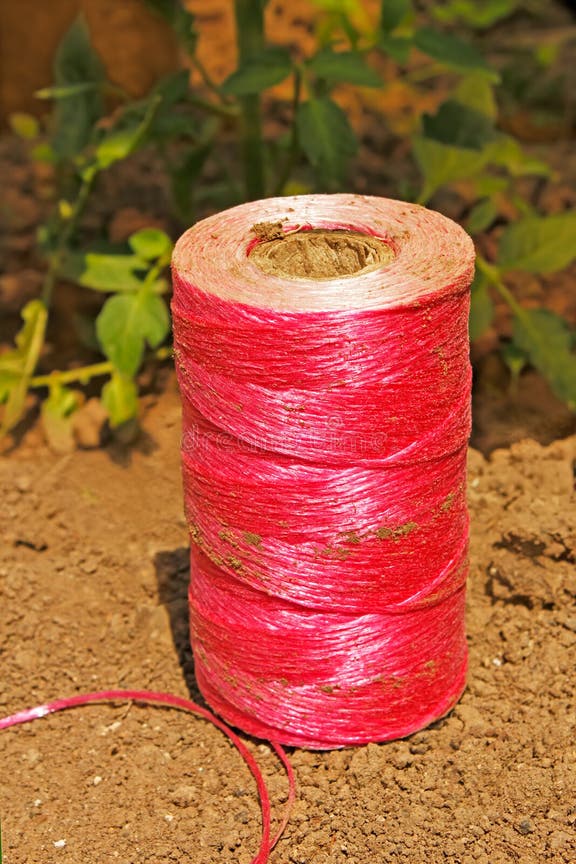 Pink coil on the soil stock image. Image of pink, aperture - 20196253