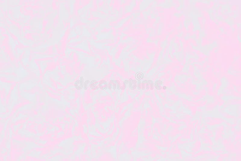 Delicate rose stock photo. Image of gift, plant, light - 9248610