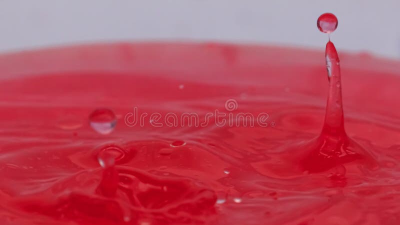 Pink Color Drop Falling in Water Stock Photo - Image of design, blue ...