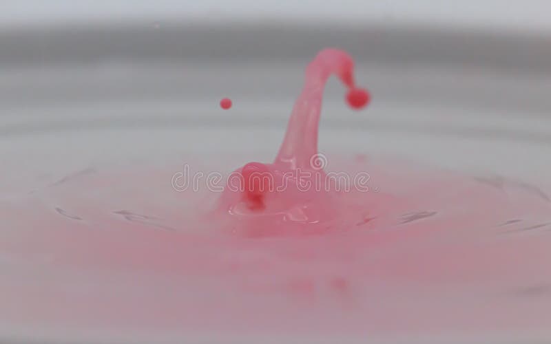 Pink Color Water Drop and Splash Stock Photo - Image of clean, creative ...