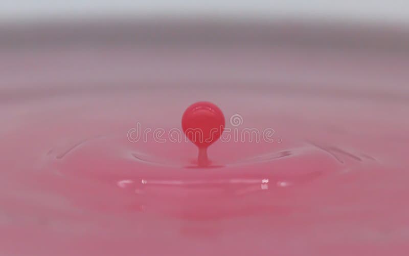 Pink Color Water Drop and Splash Stock Image - Image of fresh, spashing ...