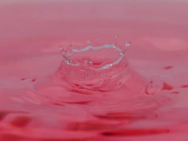 Pink Color Water Splash Moment Stop Stock Image - Image of splashing ...