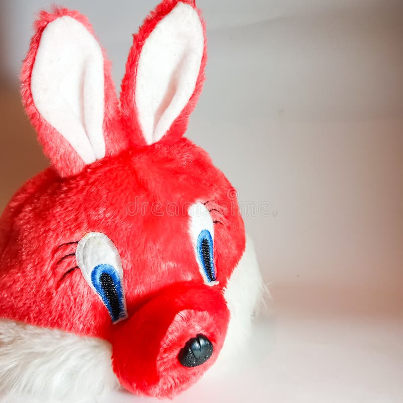 Pink Colour Rabbit Head on White Background Stock Photo - Image of ...