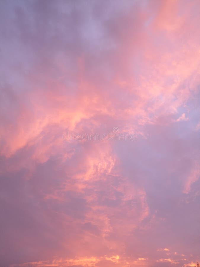 Pink Colour Sky in the Dusk Stock Photo - Image of plain, morning ...