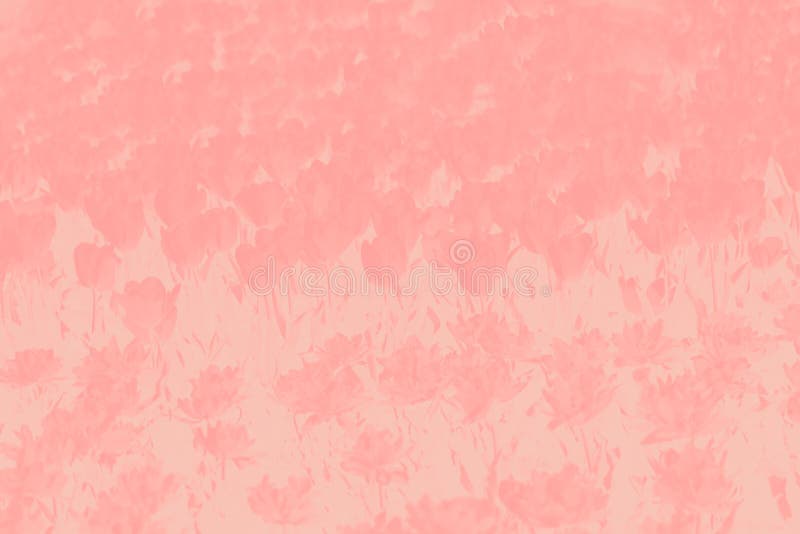 Pink Coral Abstract Background, Tulips Flowers Pattern Stock Image ...