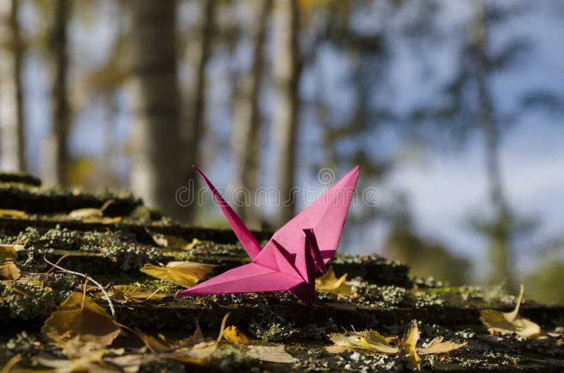 Pink crane in wood stock photo. Image of custom, inside - 80198988
