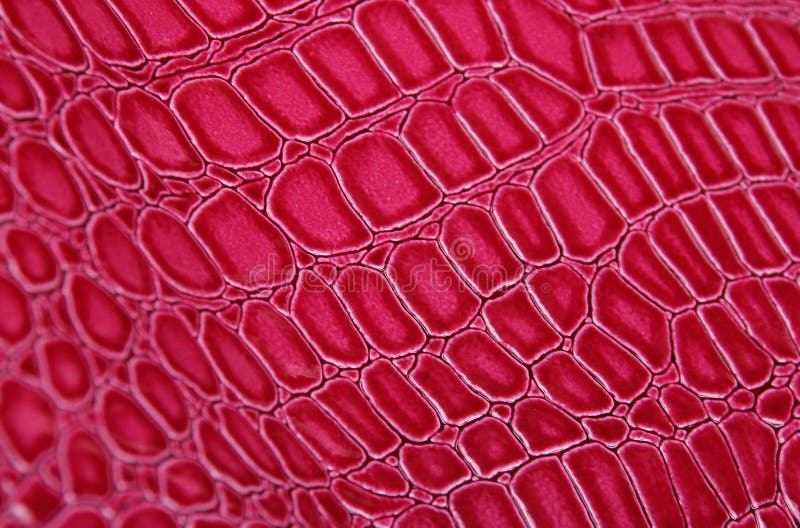 306 Pink Crocodile Leather Texture Stock Photos - Free & Royalty-Free ...