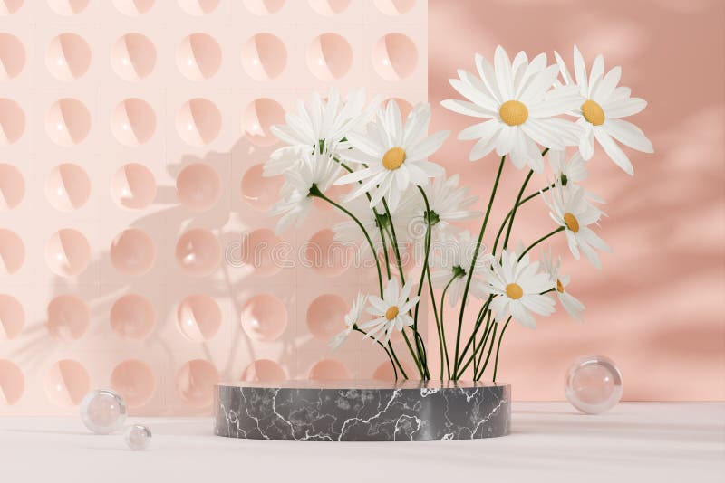Pink 3D Rendering Illustration of Common Daisy with Empty Space Podium ...