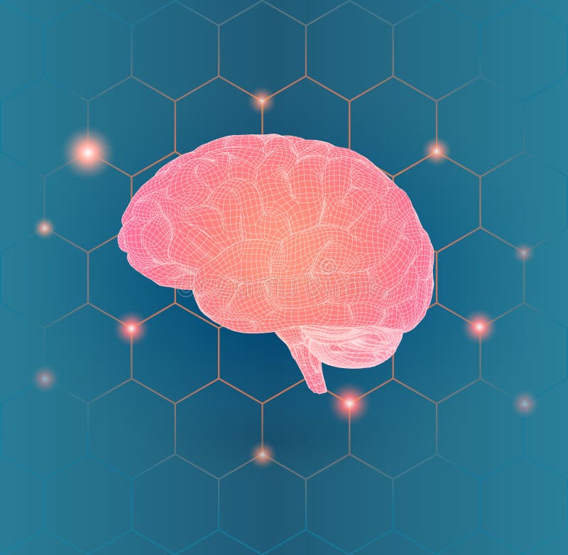 Wireframe Brain Side View on Hexagonal Connection BG Stock Vector ...