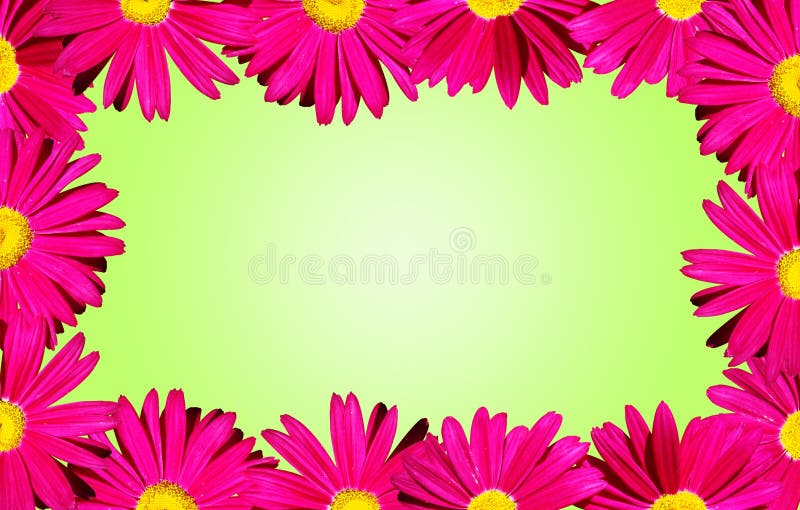 918 Baby Pink Flower Border Stock Photos - Free & Royalty-Free Stock ...