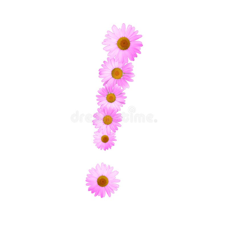 Pink Daisy Exclamation Point Stock Illustration - Illustration of ...