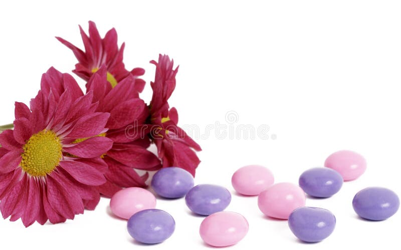 Pink Daisy Flowers With Colorful Candy Stock Image - Image of food ...
