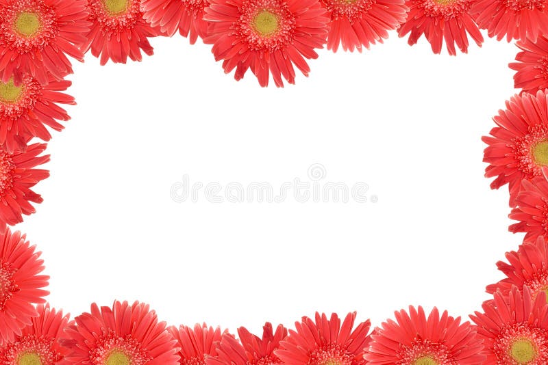 Flowers frame. stock image. Image of gift, lily, flower - 12720639