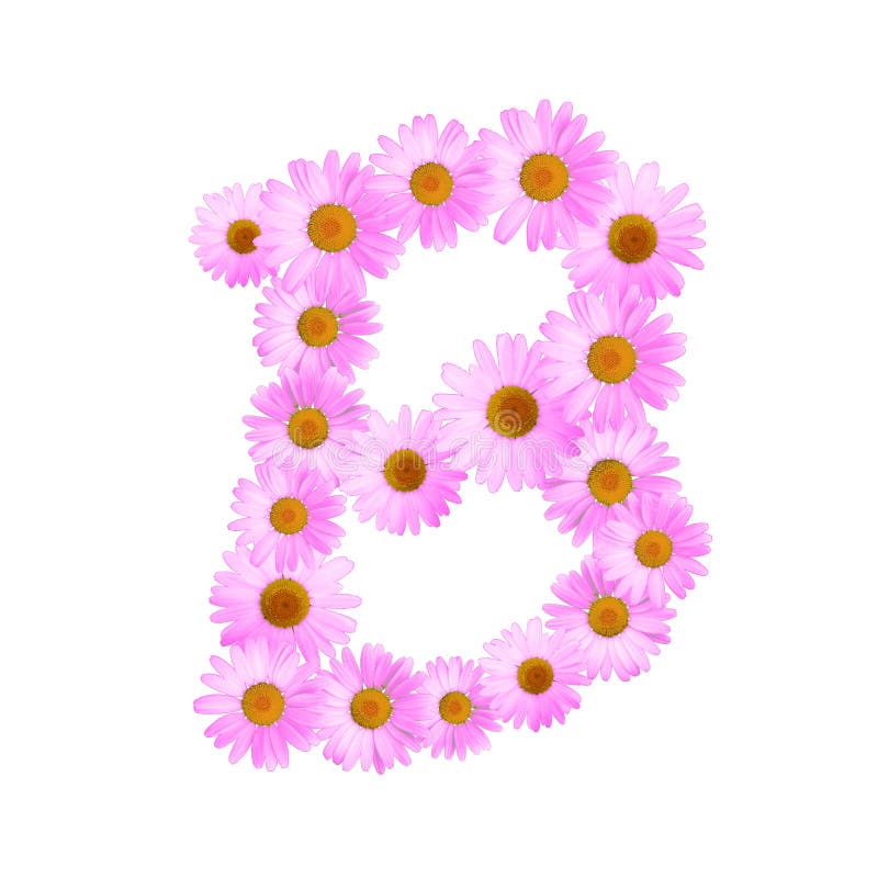 Pink Daisy Letter B Stock Illustrations – 10 Pink Daisy Letter B Stock ...