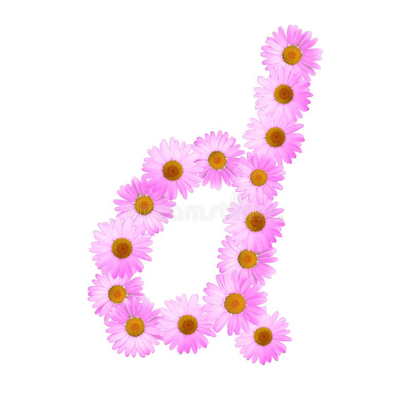 Pink Daisy Letter D Stock Illustrations – 7 Pink Daisy Letter D Stock ...