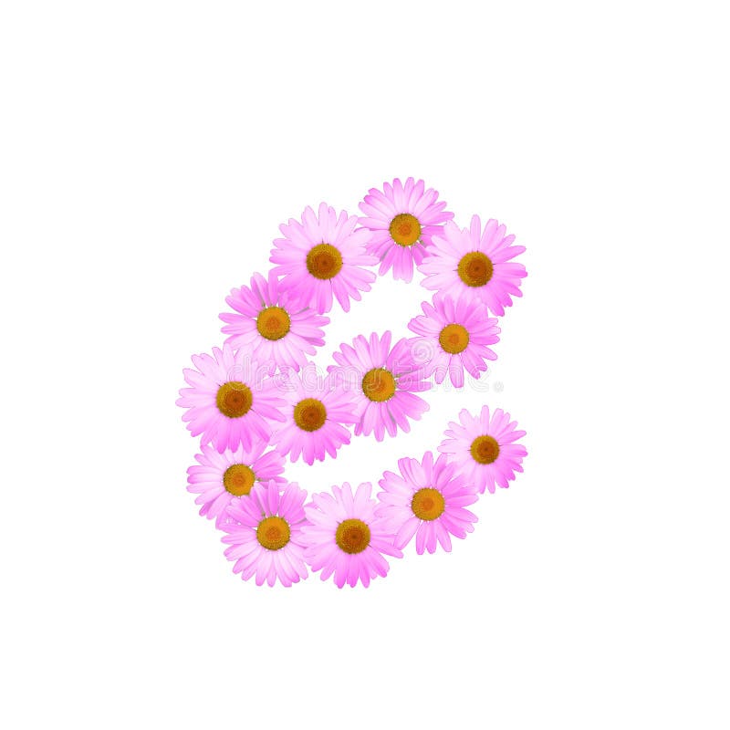 Pink Daisy Letter E stock illustration. Illustration of floral - 85440067