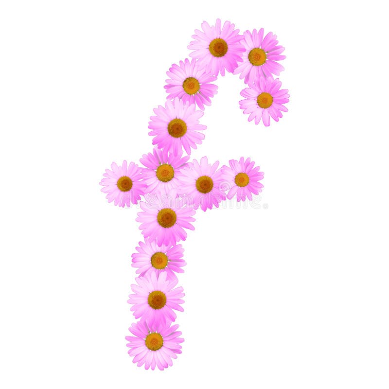 Pink Daisy Letter F Stock Illustrations – 13 Pink Daisy Letter F Stock ...