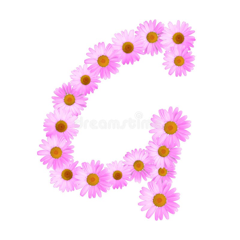 Pink Daisy Letter G Stock Illustrations – 10 Pink Daisy Letter G Stock ...