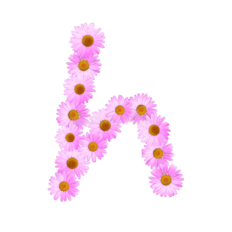 Pink Daisy Letter H stock illustration. Illustration of birthday - 85440063