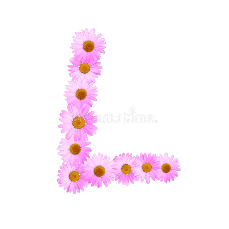 Pink Daisy Letter L Stock Illustrations – 10 Pink Daisy Letter L Stock ...