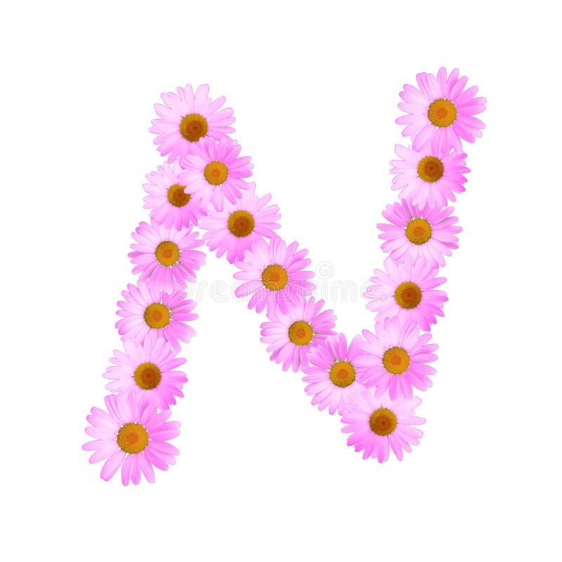 Pink Daisy Letter N Stock Illustrations – 3 Pink Daisy Letter N Stock ...