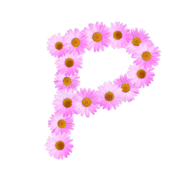 Pink Daisy Letter P stock illustration. Illustration of custom - 85440065