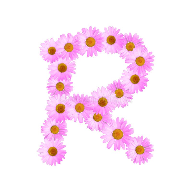 Pink Daisy Letter Y stock illustration. Illustration of lettering ...