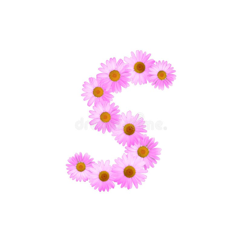 Pink Daisy Letter's Stock Illustrations – 64 Pink Daisy Letter's Stock ...