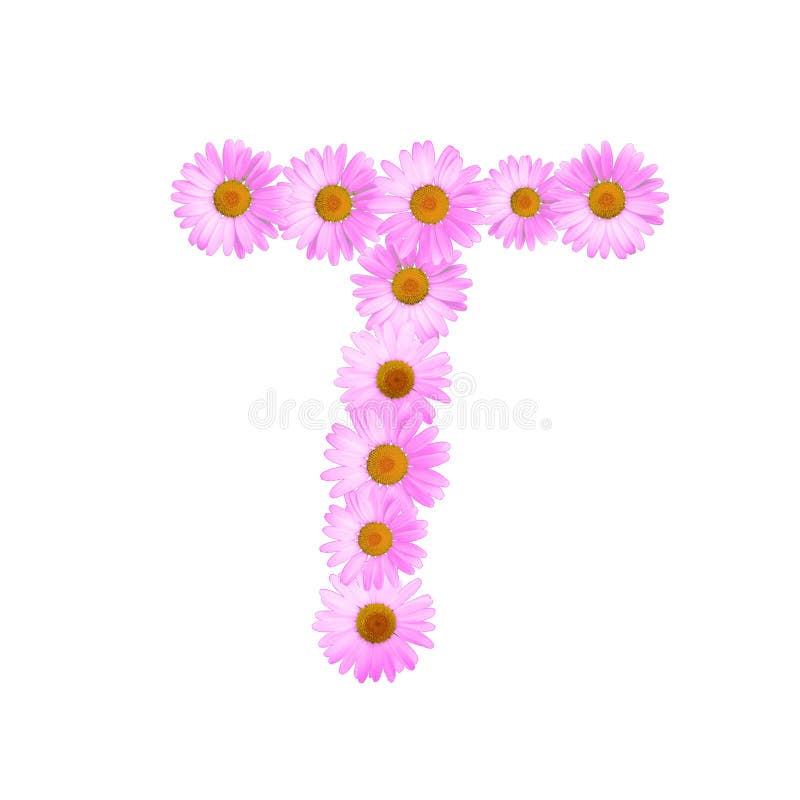 Pink Daisy Letter T stock illustration. Illustration of color - 85440173
