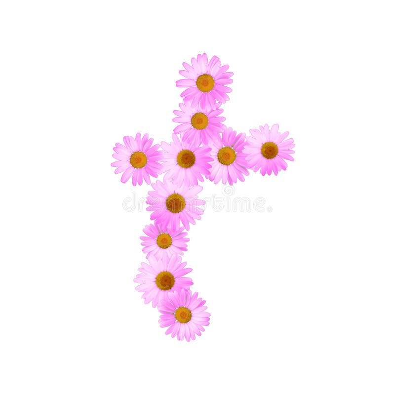 Pink Daisy Letter T stock illustration. Illustration of girl - 85440224