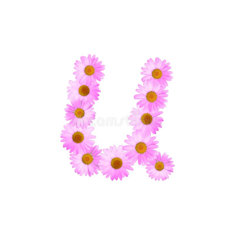 Pink Daisy Letter U Stock Illustrations – 7 Pink Daisy Letter U Stock ...