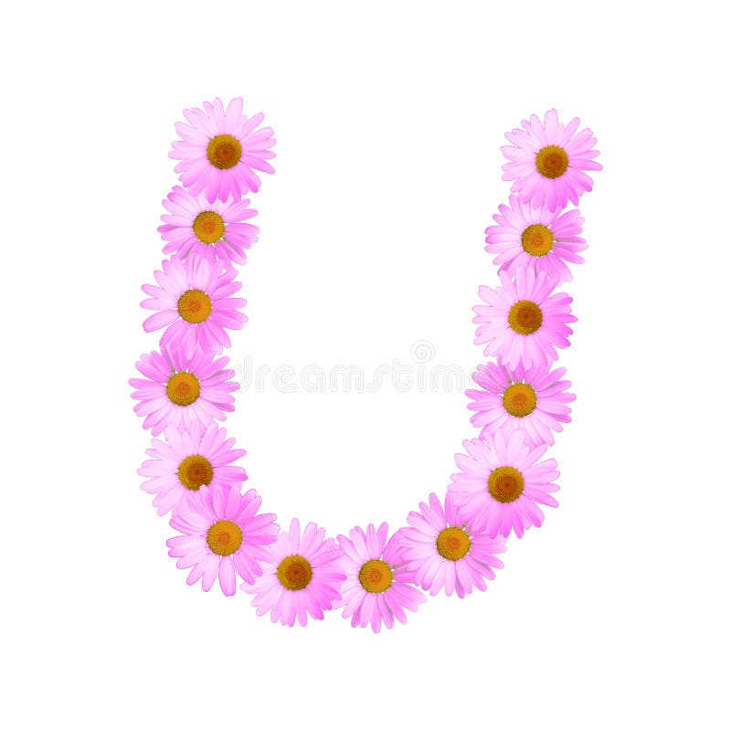 Pink Daisy Letter U Stock Illustrations – 12 Pink Daisy Letter U Stock ...