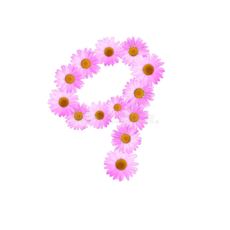Pink Daisy Number Nine stock illustration. Illustration of customize ...