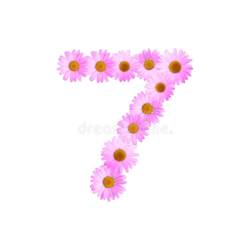 Pink Daisy Number Seven Stock Illustrations – 8 Pink Daisy Number Seven ...