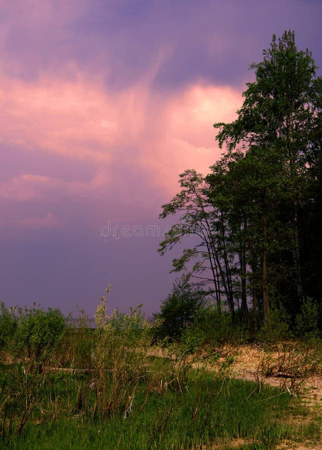 Pink Sky At Dawn Over The Sea. The Dark Silhouettes Of The Piers. Stock ...