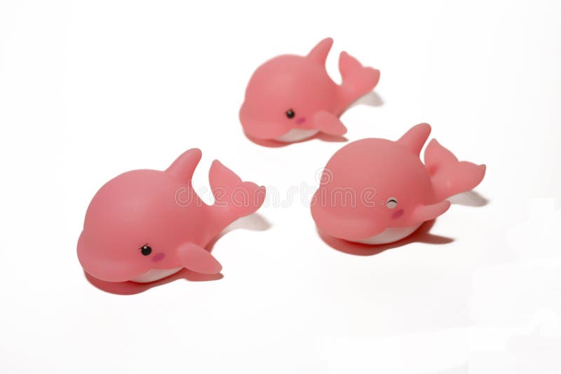 Pink dolphins stock photo. Image of baby, colorful, babies - 11242994