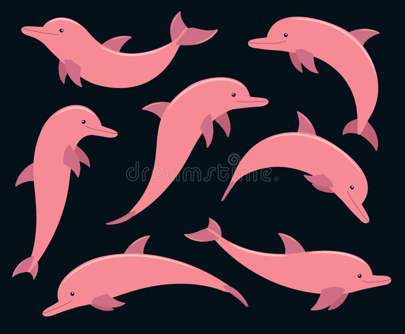 Pink Dolphin Cartoon