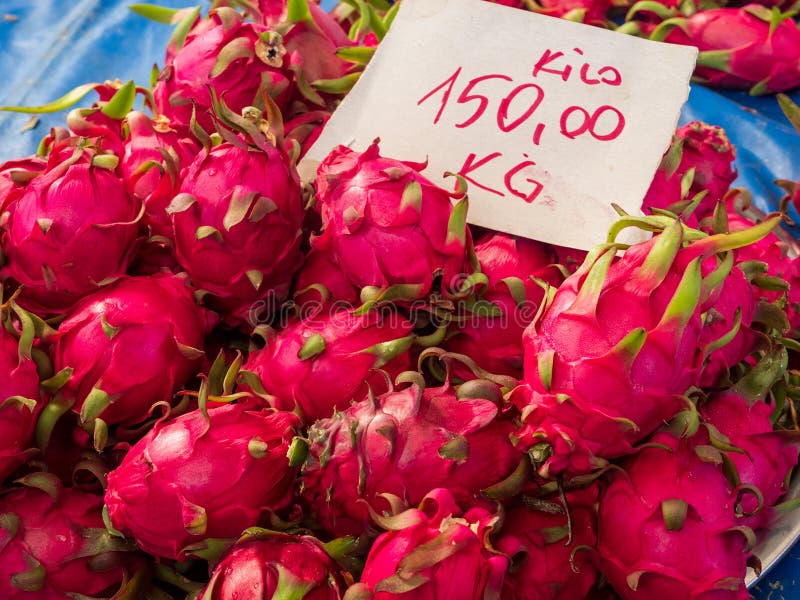 Pink Dragon Fruit stock image. Image of celebration - 340129185