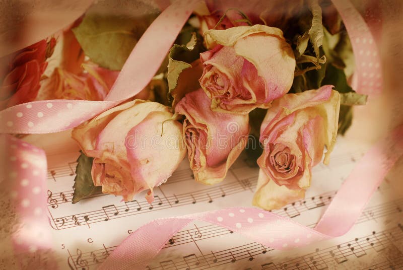 Pink Dried Roses on Old Note Paper in Vintage Style Stock Photo - Image ...