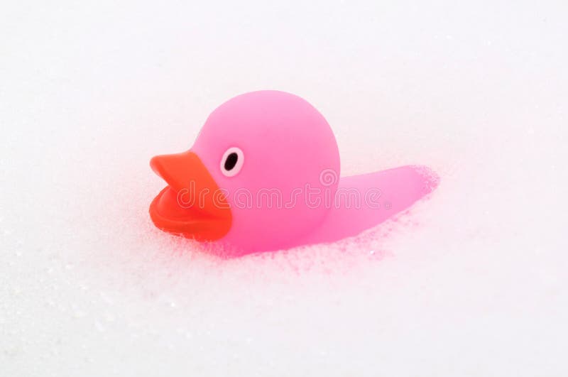 Pink duck in a bathtub stock photo. Image of home, duck - 134265834
