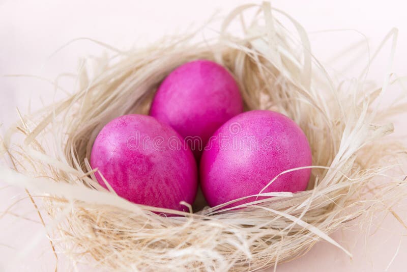 Easter Eggs in the Nest, Chicken Boiled Easter Eggs Stock Image - Image ...