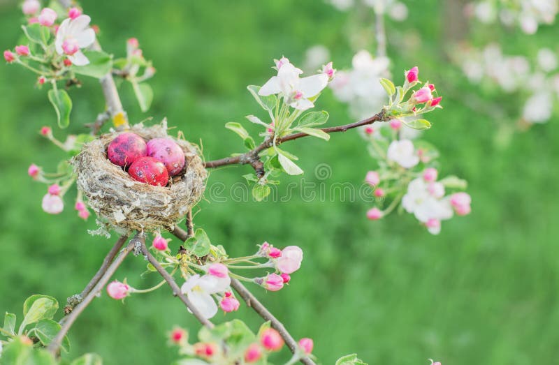 Pink Easter Eggs in Spring Orchard Stock Image - Image of decorated ...