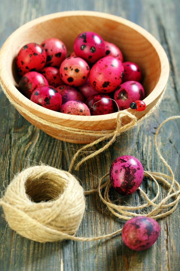 Pink easter eggs. stock photo. Image of ladybird, tradition - 40055524
