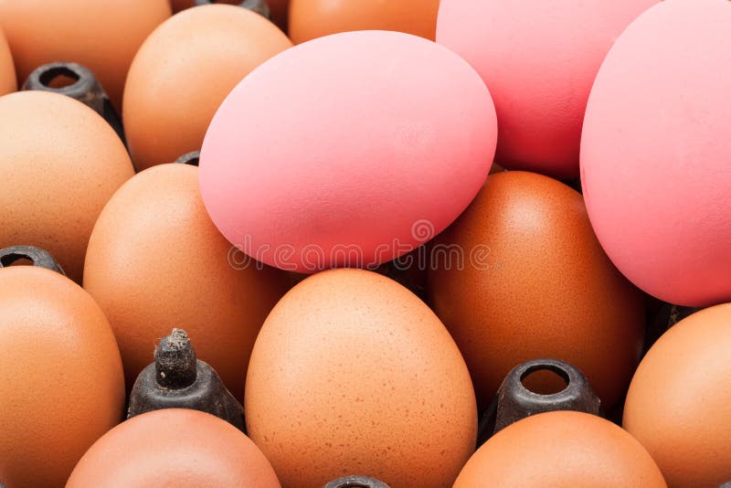Pink egg stock image. Image of meal, gourmet, carbonate - 57215311